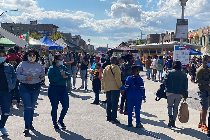 The Complete Guide on Discovering What to do in The Bronx